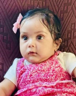 Know your Bharlarukha family! -author@utsav